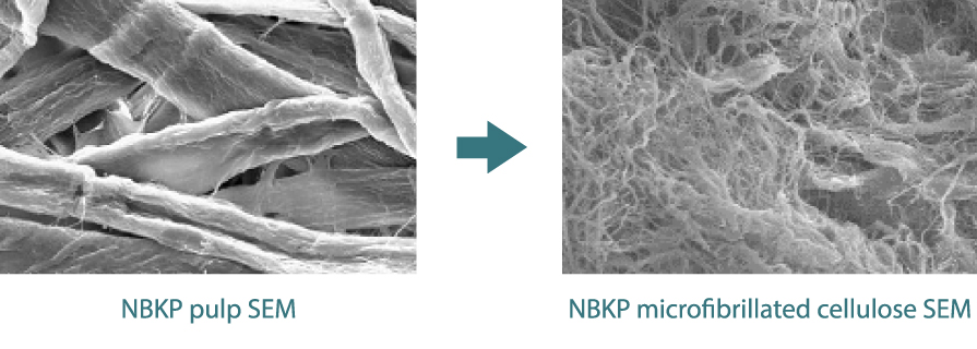 S&C Biomass | Why MFC - 艾斯恩喜生基科技有限公司